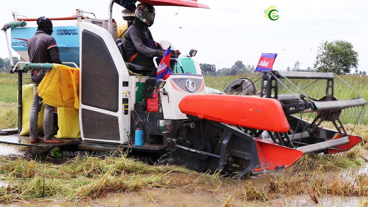 Incredible Harvester Working In Deep Water | Farming Machine Skills ...