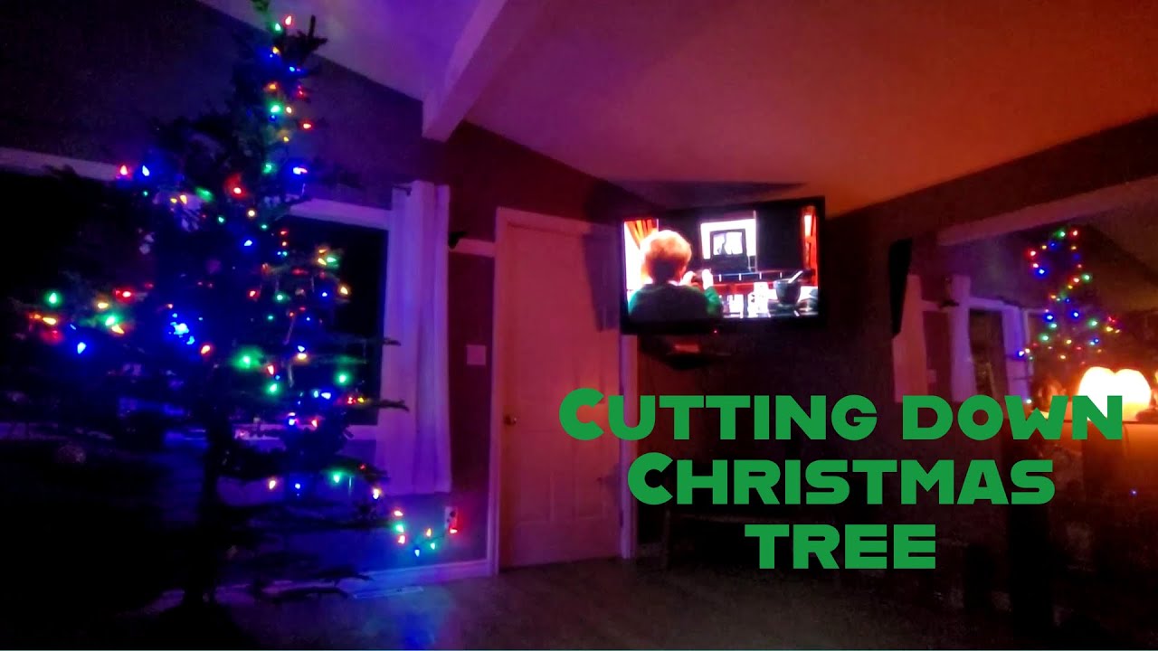 Cutting Down Christmas Tree Youtube