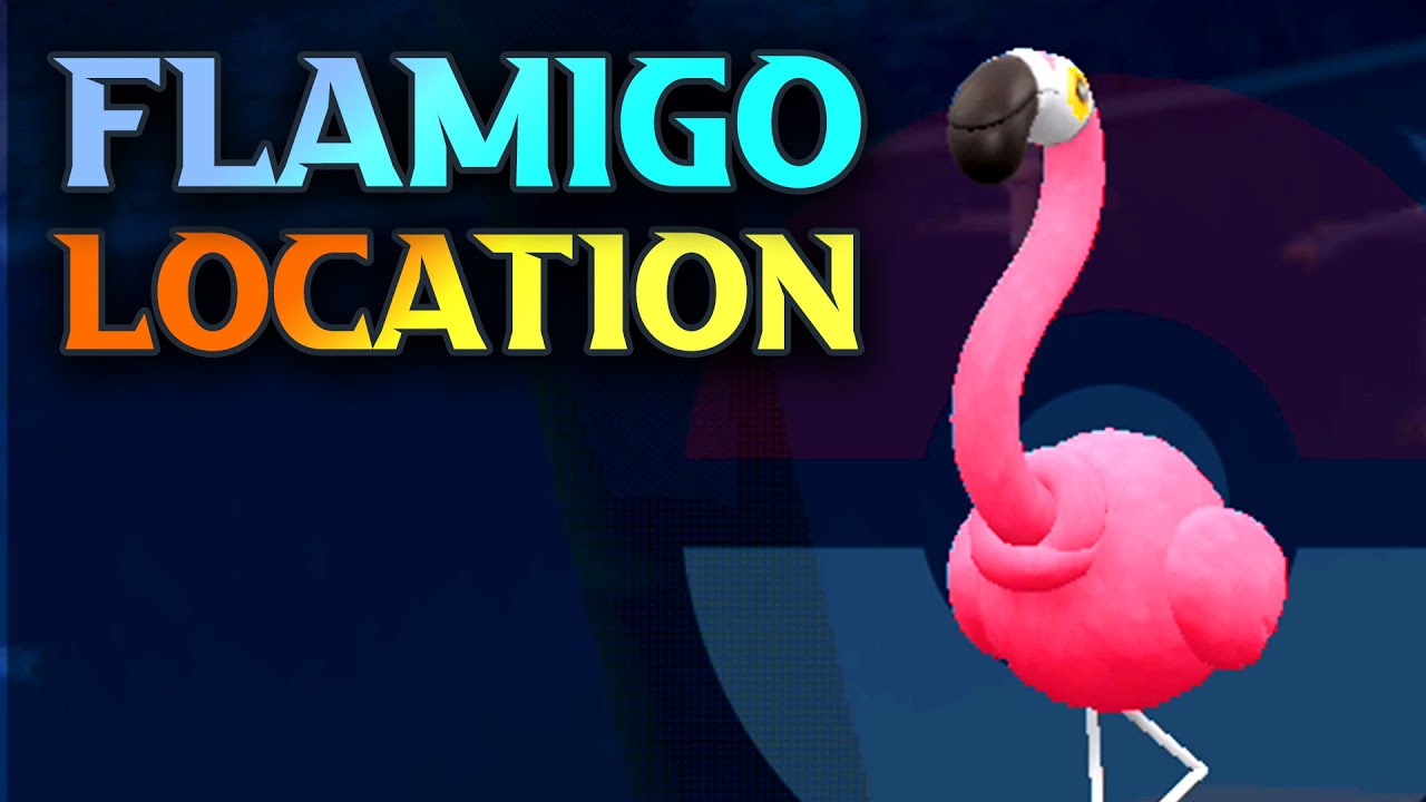 How To Get Flamigo Pokemon Scarlet And Violet - YouTube