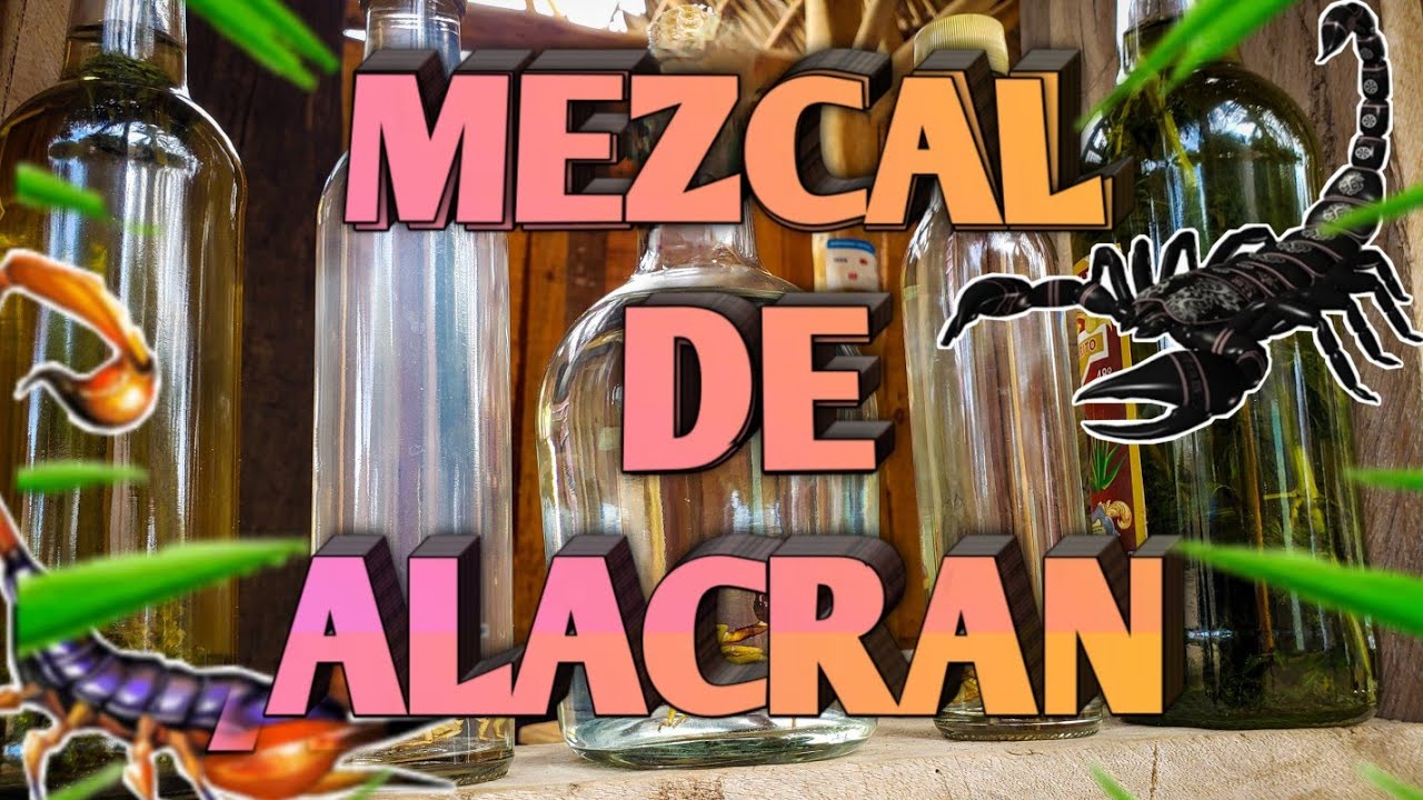 TOMAMOS MEZCAL DE VENENO DE ALACRAN EN VENTANILLA, TONAMECA, OAXACA 🐊 ...