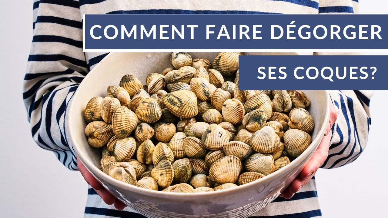 Comment faire dégorger ses coques ? - YouTube
