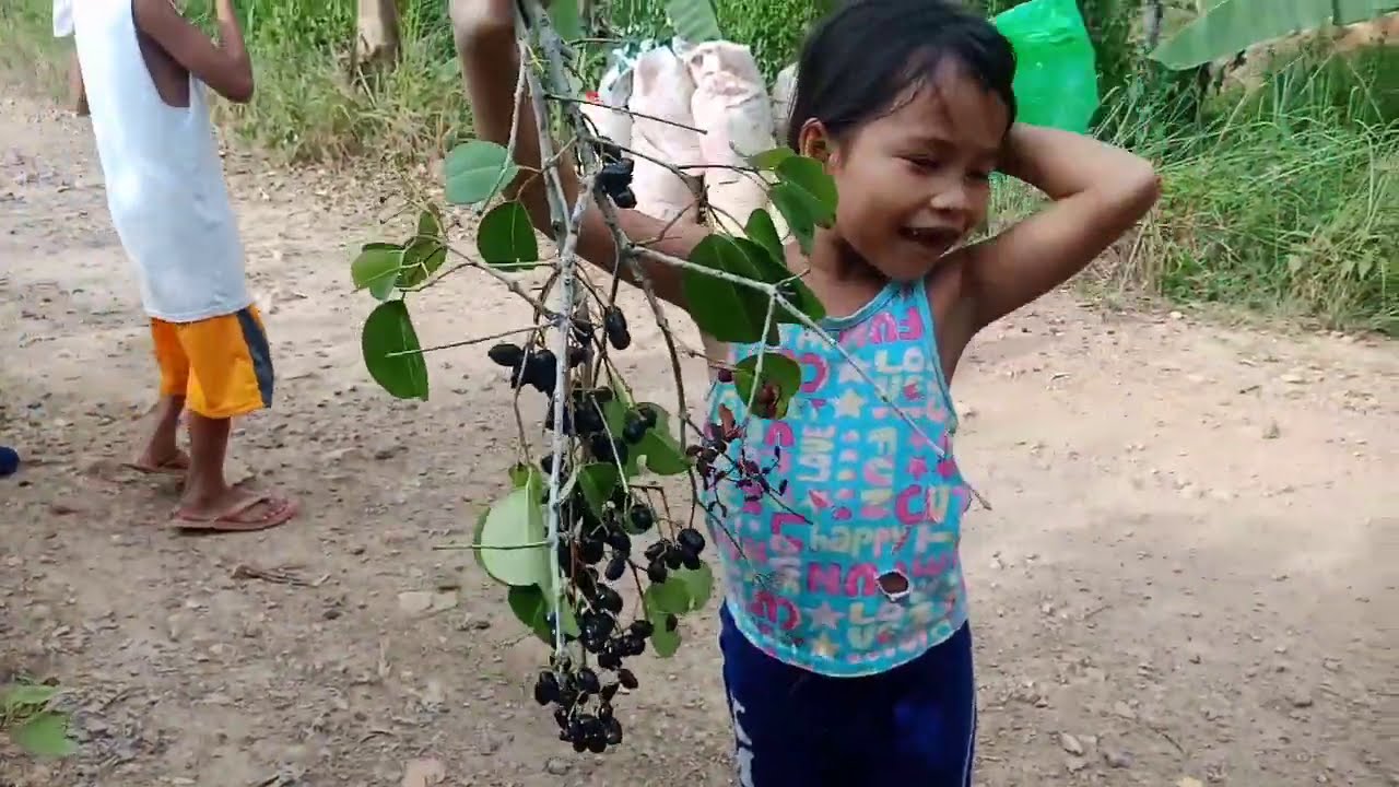 Picking Java Plum[Lumboy] in the Farm with Jay and Jhen Loving and Living in the Philippines ...