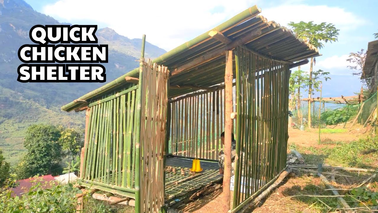Build a beautiful chicken coop in 10 days using wood, bamboo and a ...