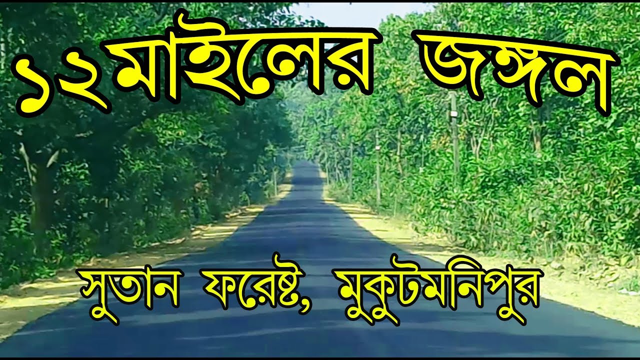 Sutan Forest Road Trip Travel Guide || A Tranquil Weekend Destination ...