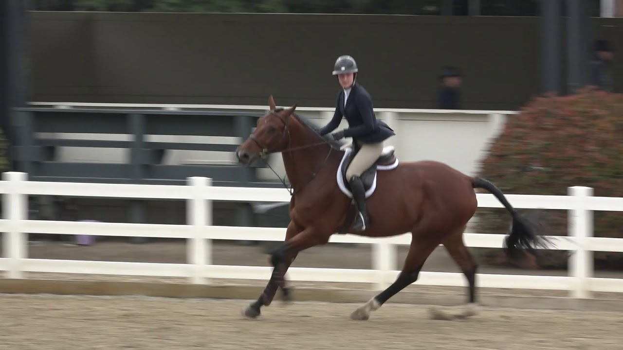 218 -Alexandra Myers - Quintessential - YouTube