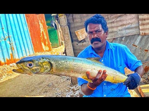 One of the most Bones Having (Golden Alathi Fish) Cutting🔪Cheapest Fish ...