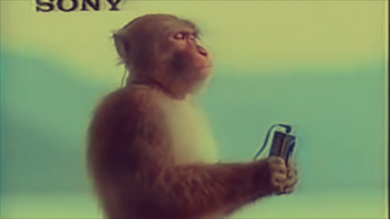 MONKEY WAVE - YouTube