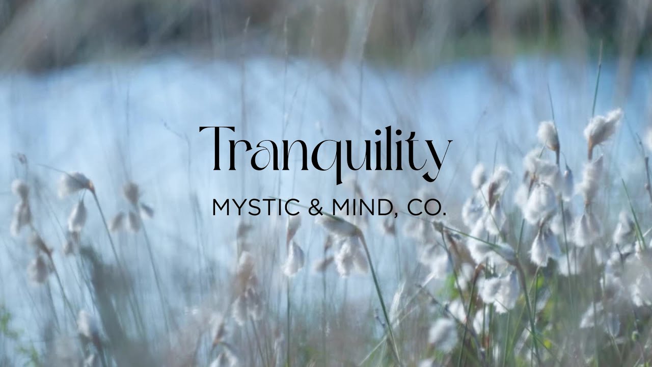 1-Hour Tranquility Meditation Music | Relaxing Piano, Nature Images ...