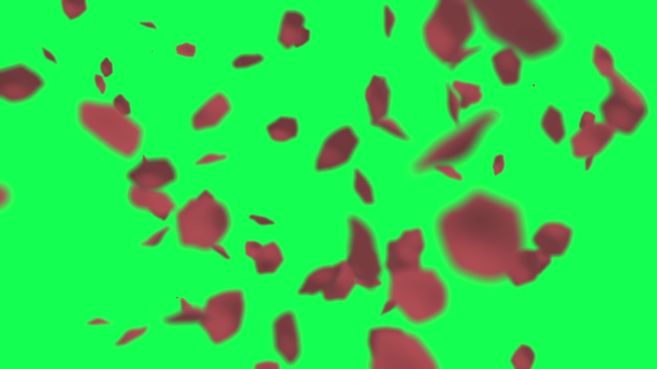 petals green screen American beauty petals falling Pétalos cayendo ...