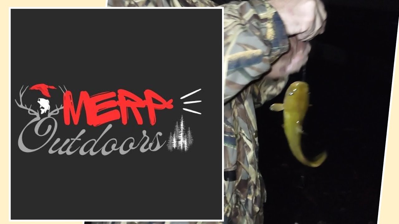 Night Fishing for Catfish in an Oregon River #fishing #catfish # ...