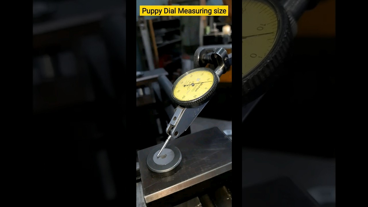 puppy dial - YouTube