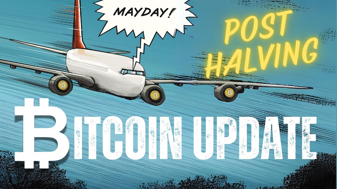 Bitcoin Post Halving Update - MayDay, Alt Season 2.0, Cycles & Next ...