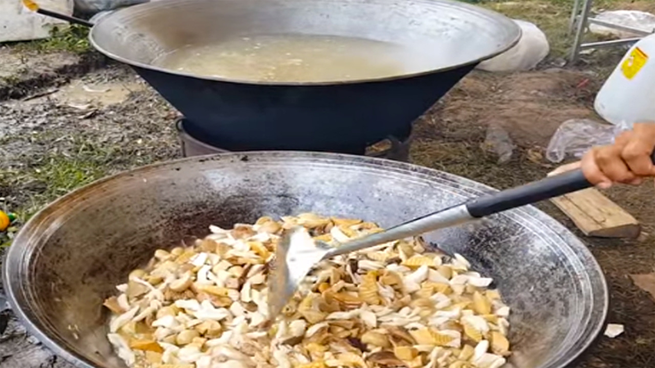 Mega Cooking Wedding Food In My Village - Country Food In My Village ...