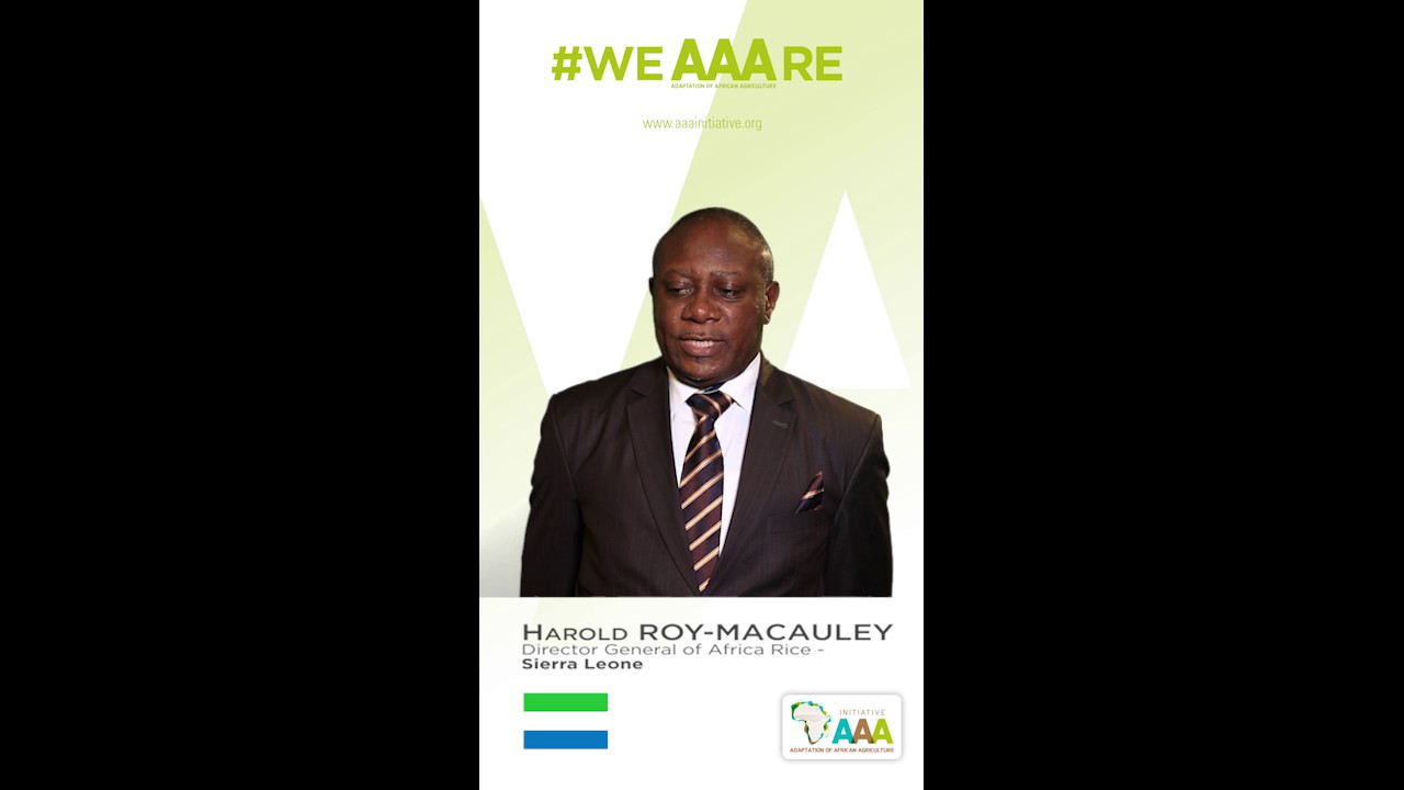 Harold ROY-MACAULEY, Directeur Général Africa Rice soutient l ...