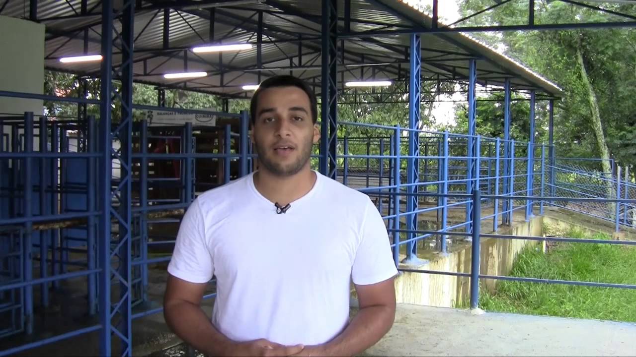 CURSOS MASTER GENETICS - YouTube
