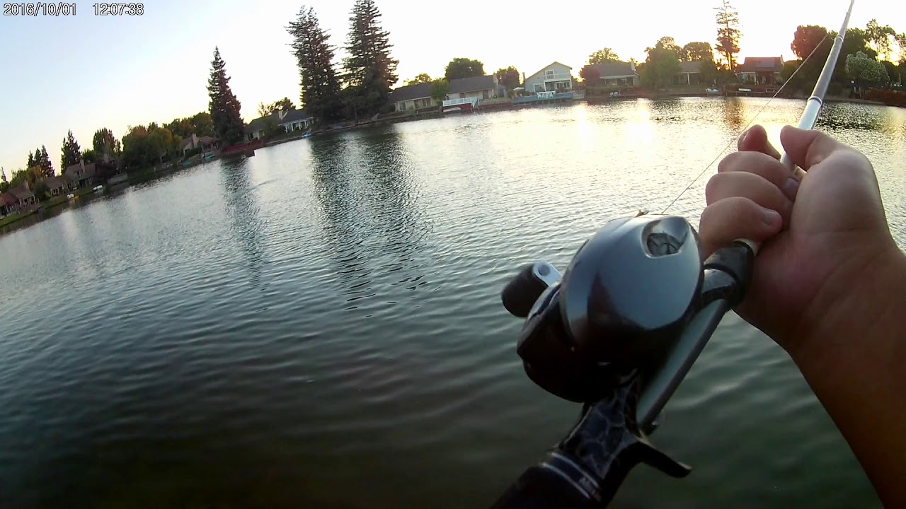 LOP Pond Fishing! (Dope) - YouTube