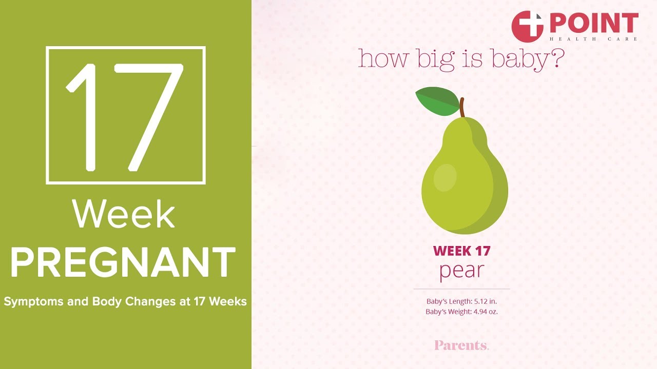 17 Weeks Pregnant Symptoms | 17 Weeks Pregnant Baby Size | Pregnancy ...