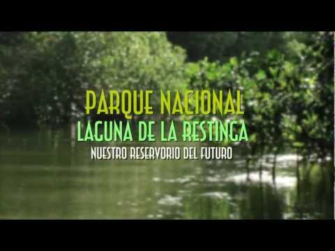 Características de Venezuela: Región Insular