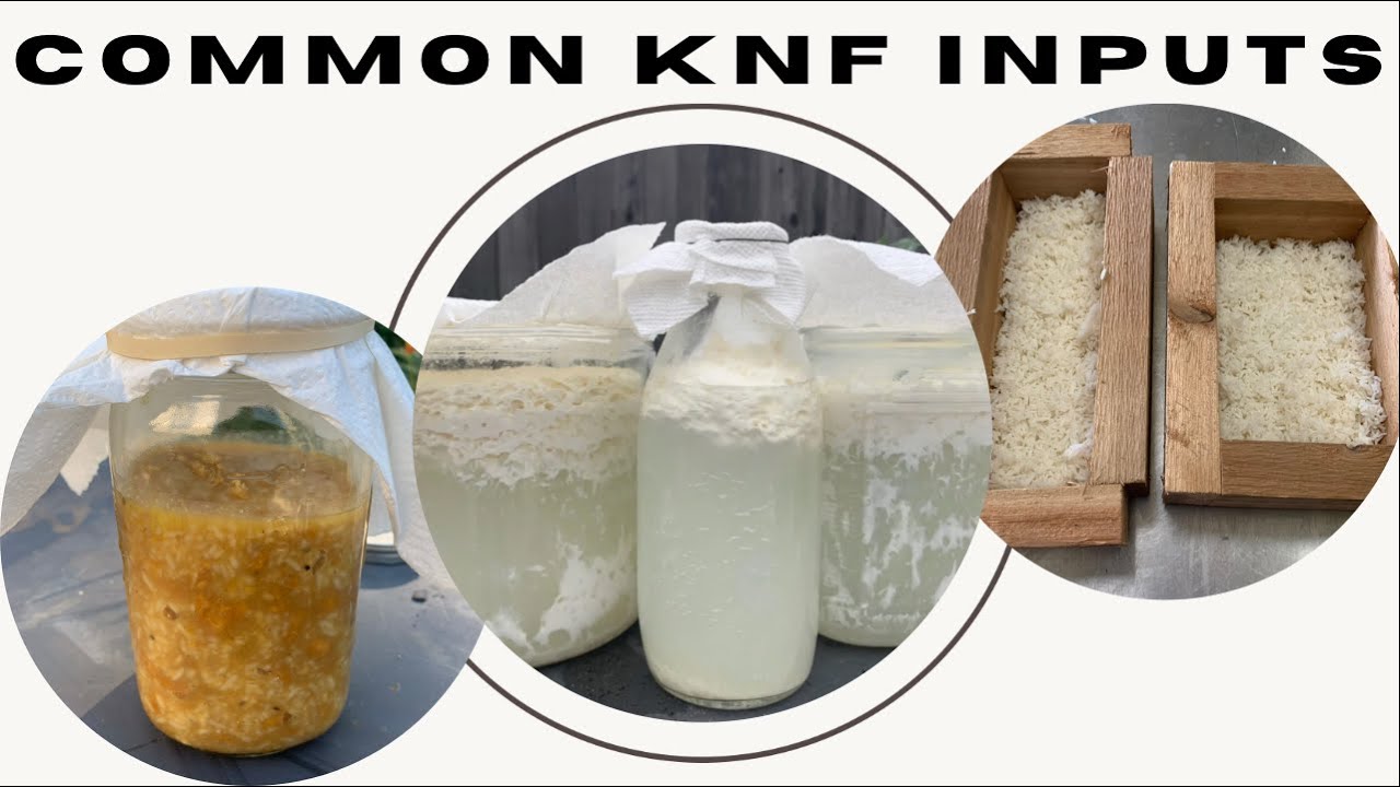 Natural Farming Inputs - What is a Natural Farming Input? - YouTube