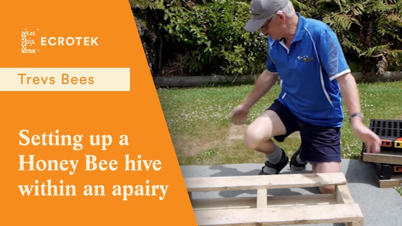 Trevs Bees - Setting up a Honey Bee hive within an apairy - YouTube