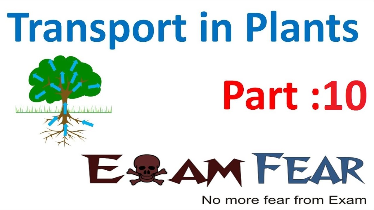 Biology Transport In Plants Part 10 Plasmolysis CBSE Class 11 XI biology-transport-in-plants-part-10-plasmolysis-cbse-class-11-xi