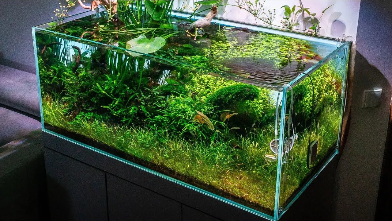 Aquarium 4K VIDEO (ULTRA HD) 🐠 Sea Animals With Relaxing Music - Rare ...