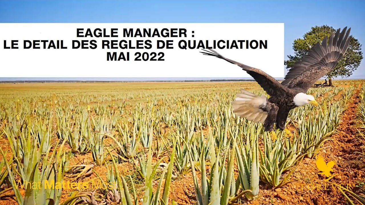 EAGLE MANAGER: LE DETAIL DES REGLES DE QUALIFICATION. PARTI 1 REGLES ...