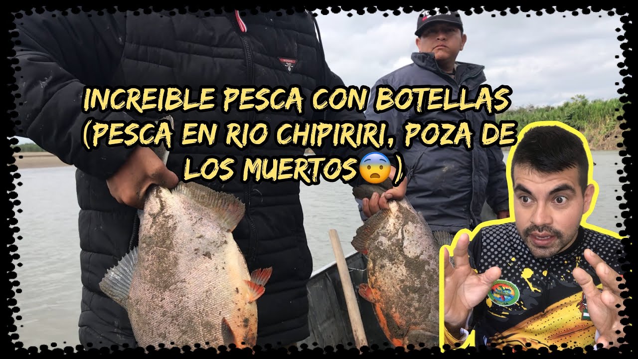 PESCA EN BOLIVIA de PACÚ y SURUBÍ en la SELVA BOLIVIANA. Trópico de ...
