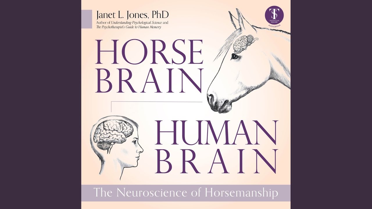 Chapter 20.6 - Horse Brain, Human Brain - YouTube
