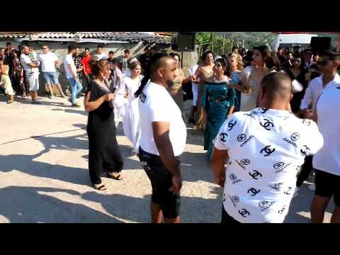 Ork bilhan macev Oro Gulo gazdarica