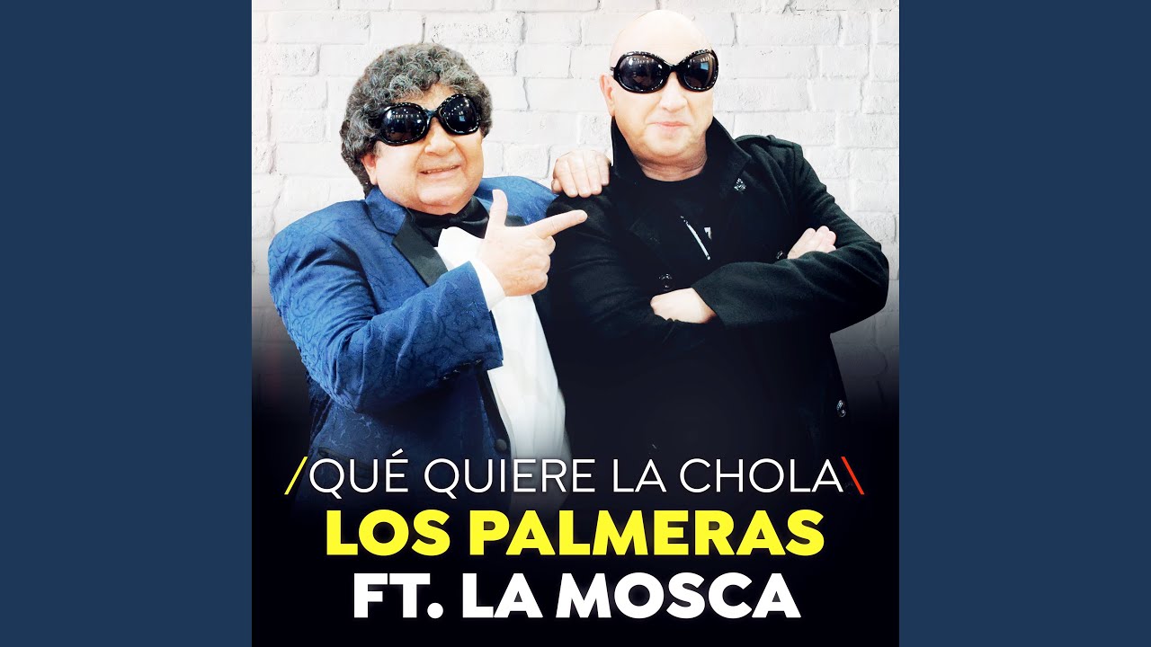 Memes Con Cholas