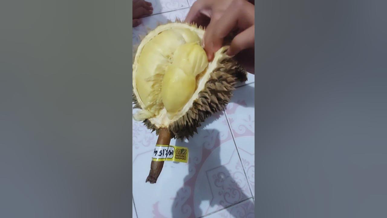 Unboxing Durian Monthong Indonesia #durian #durianindonesia #durianmontong #monthong #shorts ...