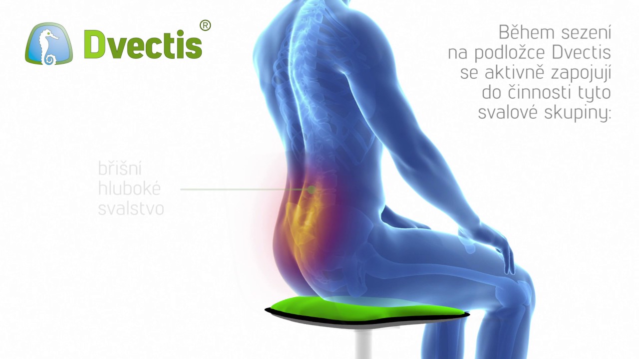 D Dvectis Video 3DModel CZ - YouTube