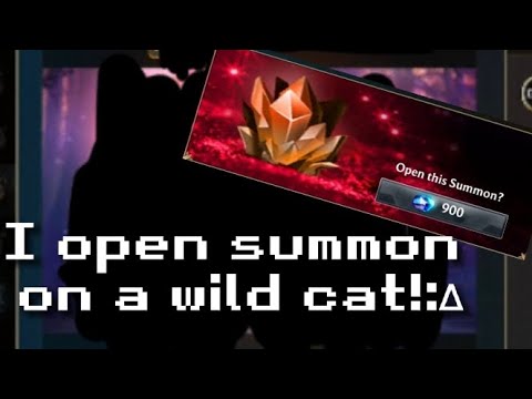 🐈//We open summon for a wild cat!//🐈my first summon:D//👀 - YouTube