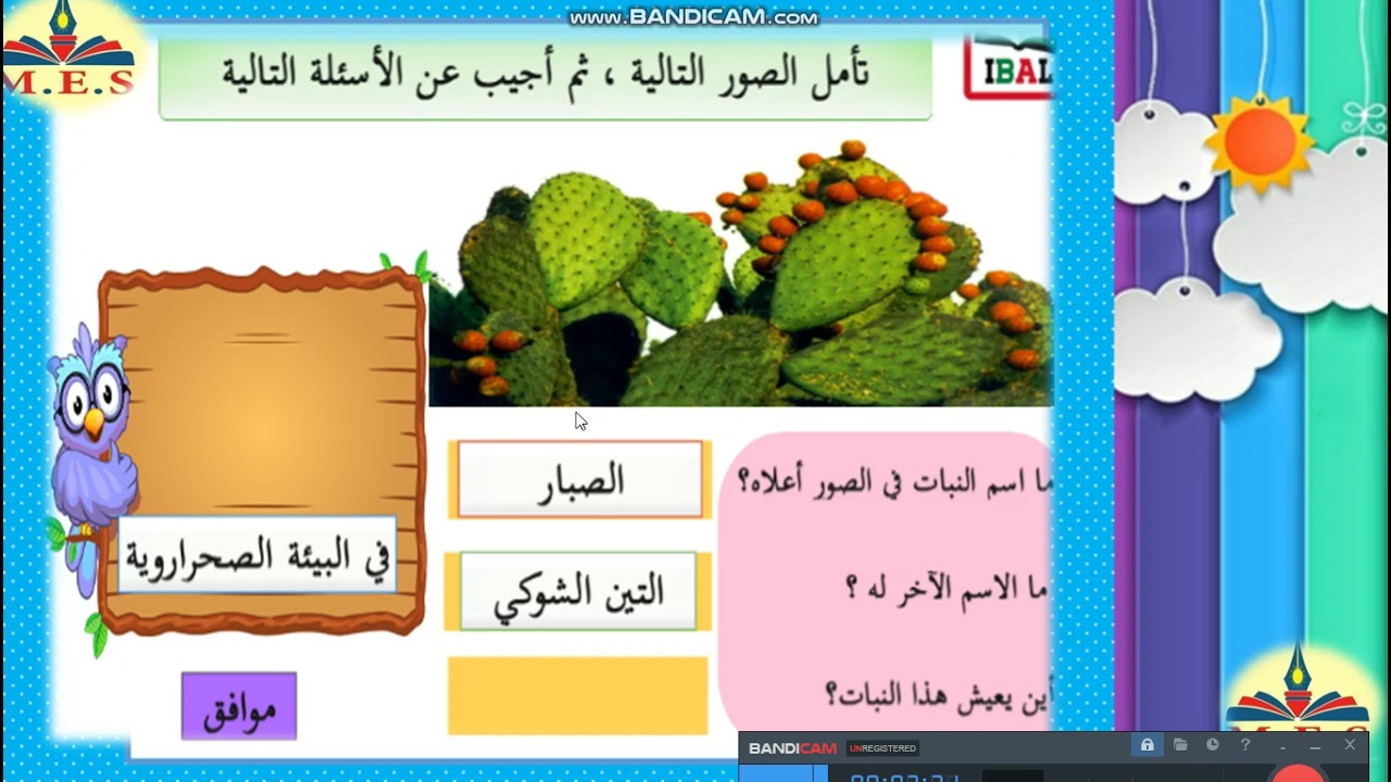 شرح درس التّكيف عند النباتات الصحراوية حل أسئلة ص 16 17 العلوم