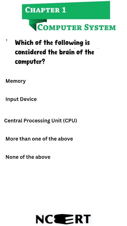 Q No. 1 | NCERT LINE BY LINE COMPUTER SCIENCE CLASS 11TH | ncert ...