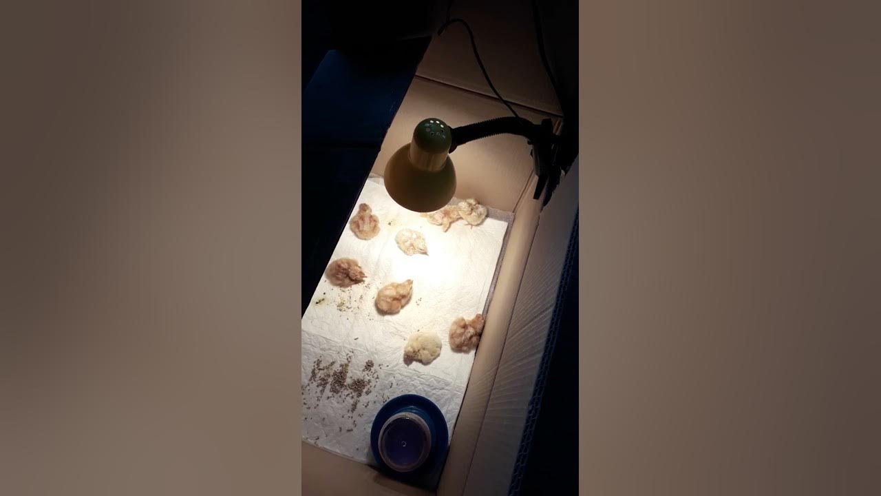 21 марта 2023 г. - YouTube