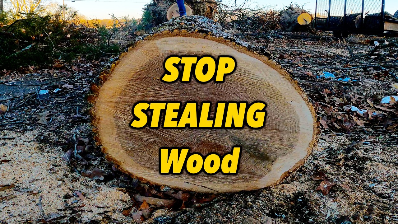 Quit Stealing Wood - I have been getting Wood For FREE - YouTube