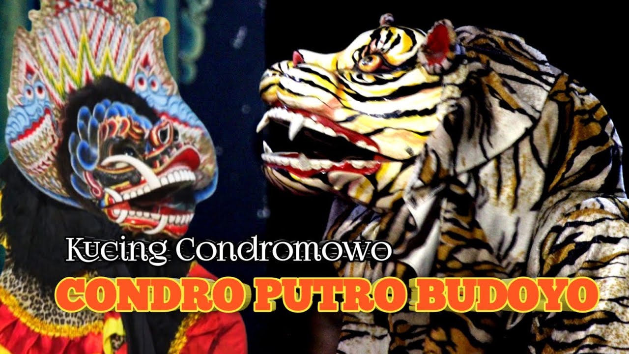 Tari Kucing Condromowo *CONDRO PUTRO BUDOYO* Live PG.Mojopanggung ...