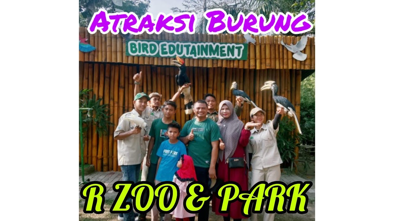 Atraksi Berbagai Jenis Burung di Rahmat Zoo Serdang Bedagai - YouTube