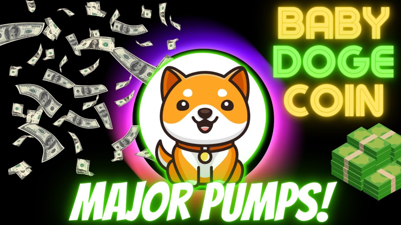 Baby Doge Coin MAJOR PUMPS! Road To 100X | EP. 89 - YouTube