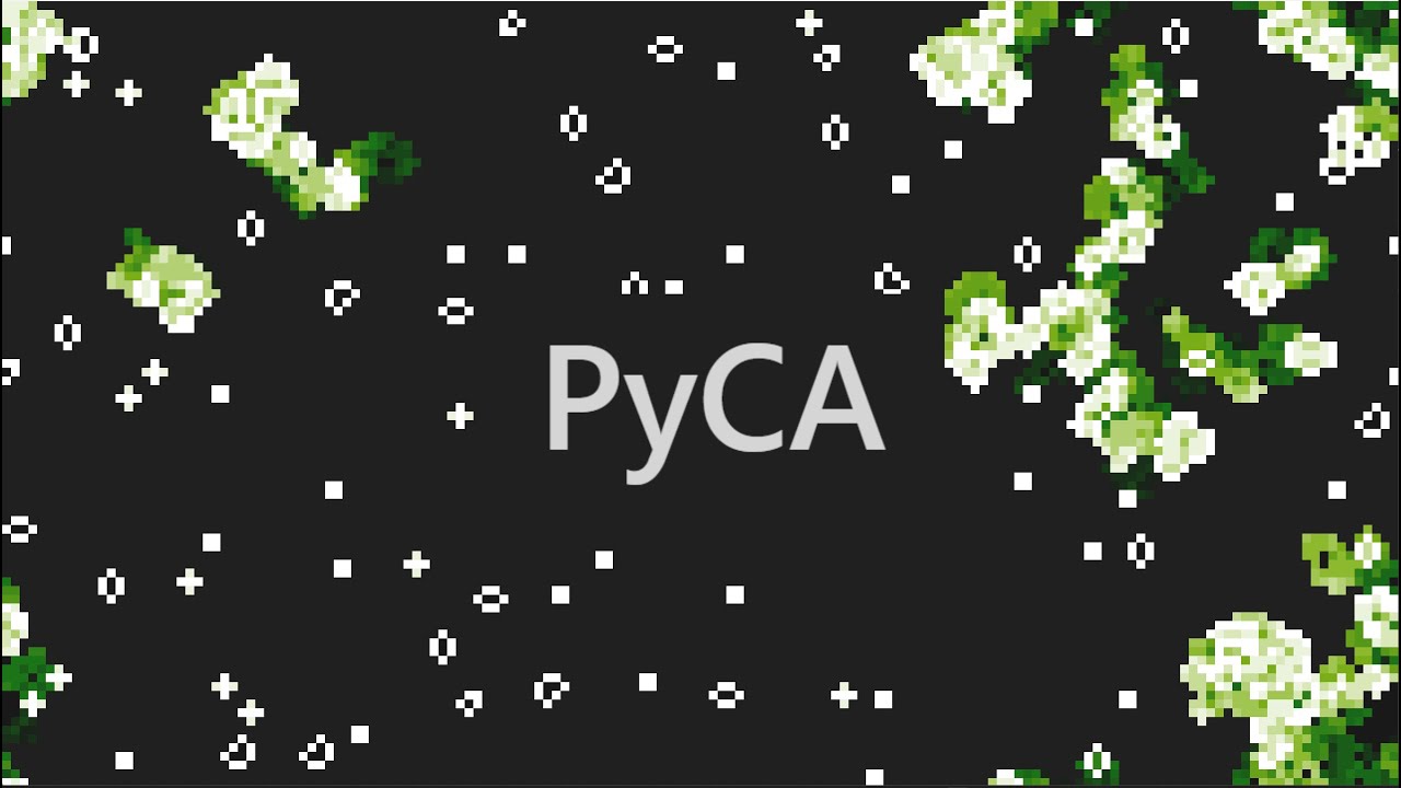 PyCA tutorial - YouTube