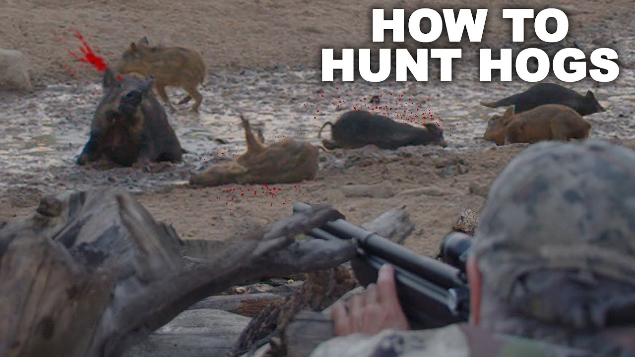 How to KILL HOGS like a MASTER | Hog Hunting 101 - YouTube