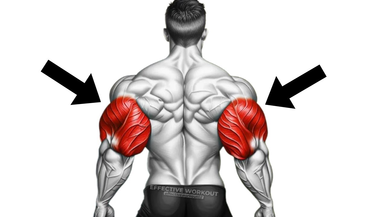 Build Bigger Triceps With This Gym Workout Routine Youtube