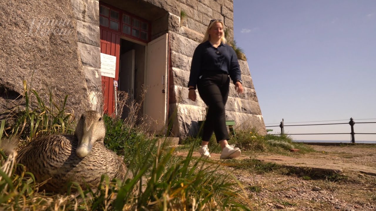 103. Haahkanvartija Peppi Wilson - YouTube