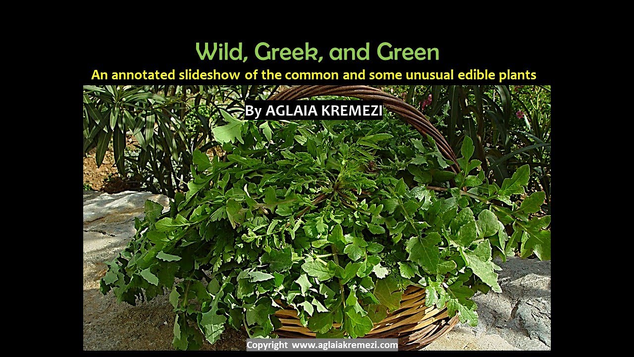 HORTA: The Edible Wild Greens of Greece - YouTube