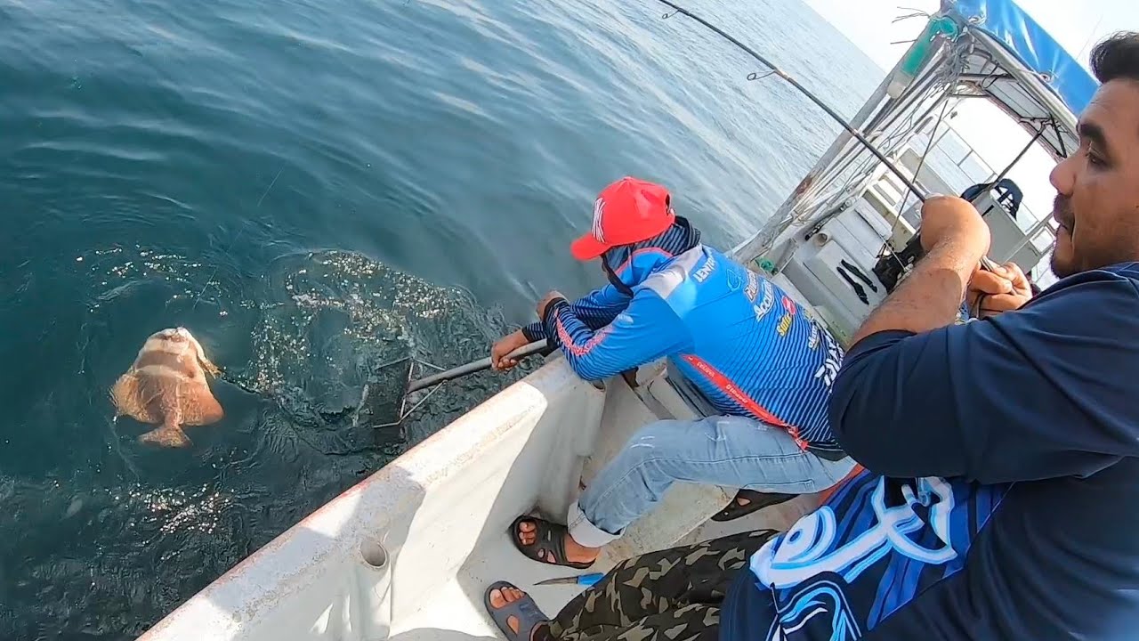 Mancing Tuas Abg Yazid Tenggiri Suka Sotong Putih Teknik Umpan Ikan ...