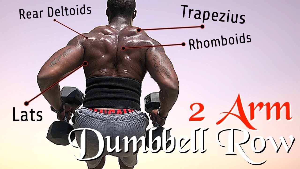 HOW TO DO a 2-ARM DUMBBELL ROW (The CORRECT Way!) | Exercise Tutorial ...