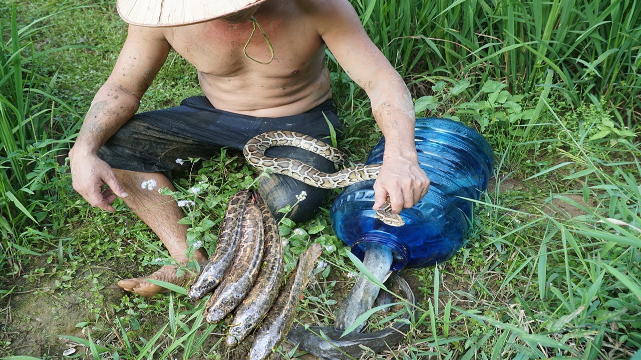 Fish Trap Skills / Trap Catfish From Waste Plastic Cans - YouTube