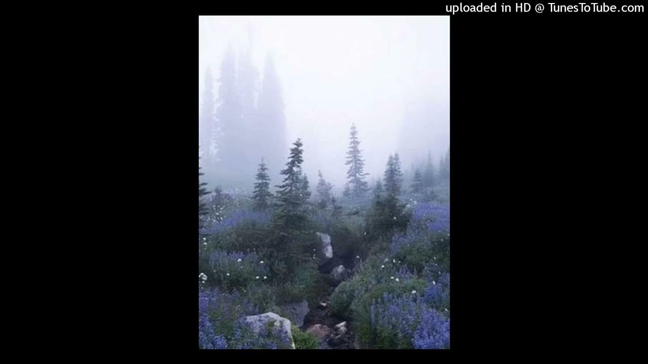 izaya tiji x wifi x ambient type beat - YouTube